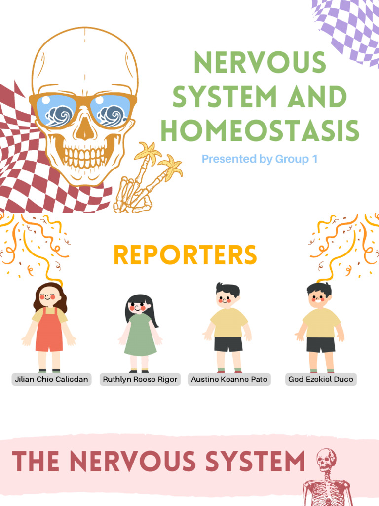 Nervous System and Homeostasis | PDF | Nervous System | Central Nervous ...
