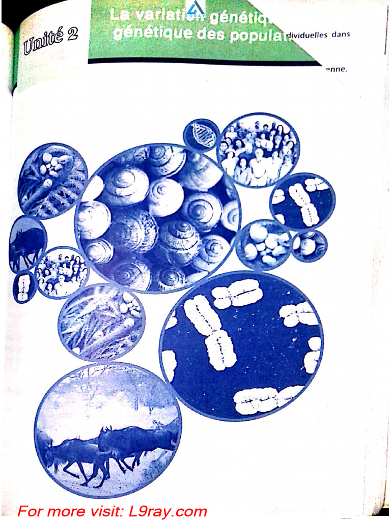 Maxi SVT 2bac SM Tome 2 | PDF