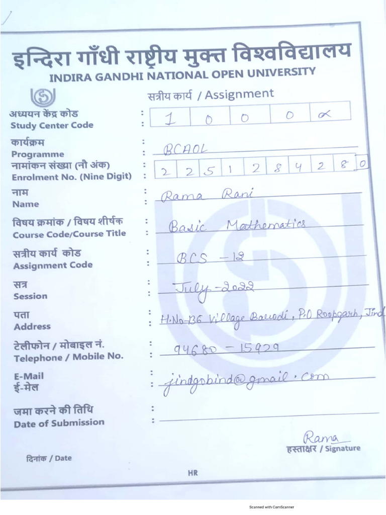 BCS 12 Assignment | PDF