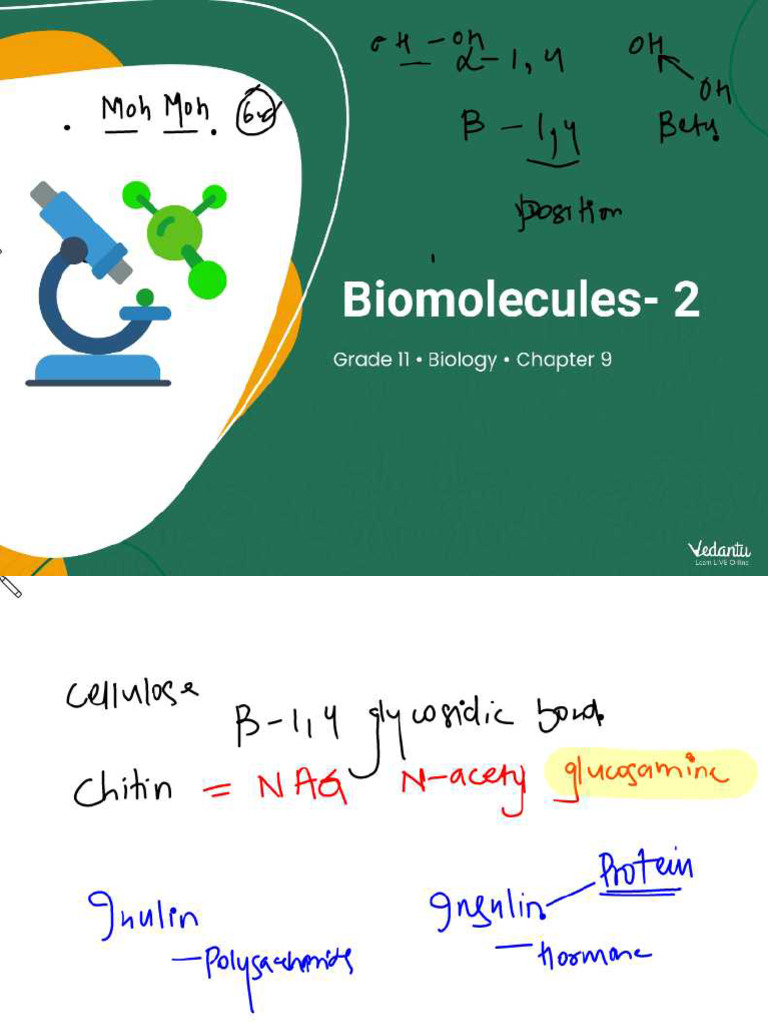 biomolecules 2 | PDF