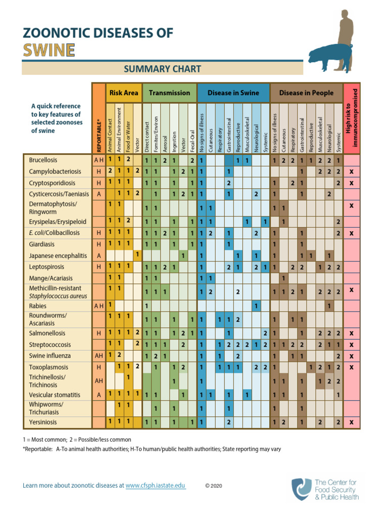 zoonotic-diseases-of-swine-summary-chart | PDF | Clinical Medicine ...