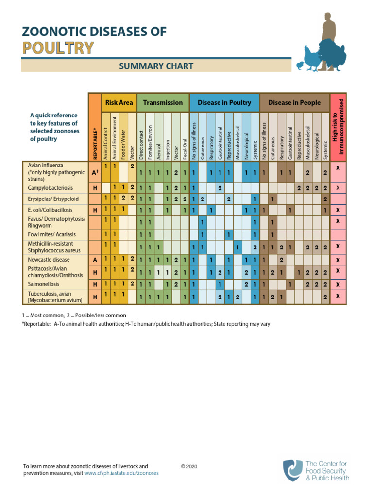 Zoonotic Diseases in Poultry Overview | PDF | Avian Influenza | Animal ...