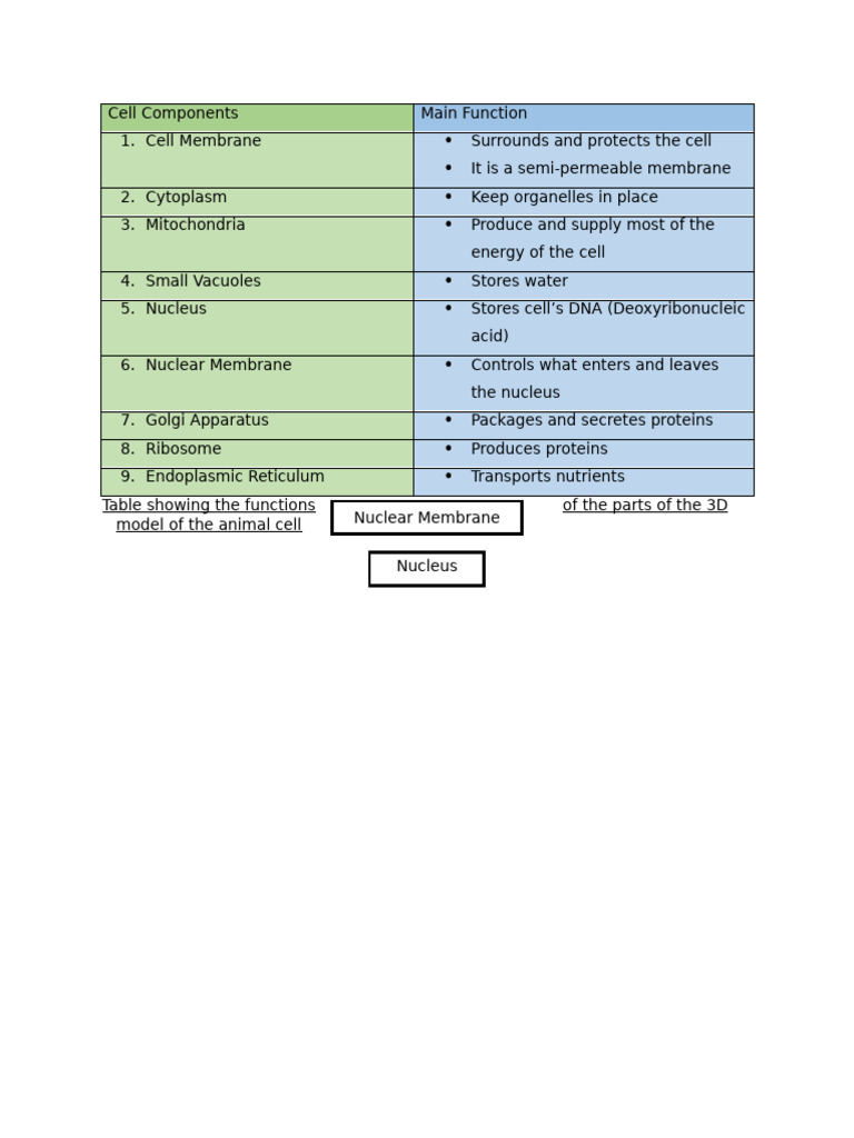 Functions of Animal Cell Components | PDF