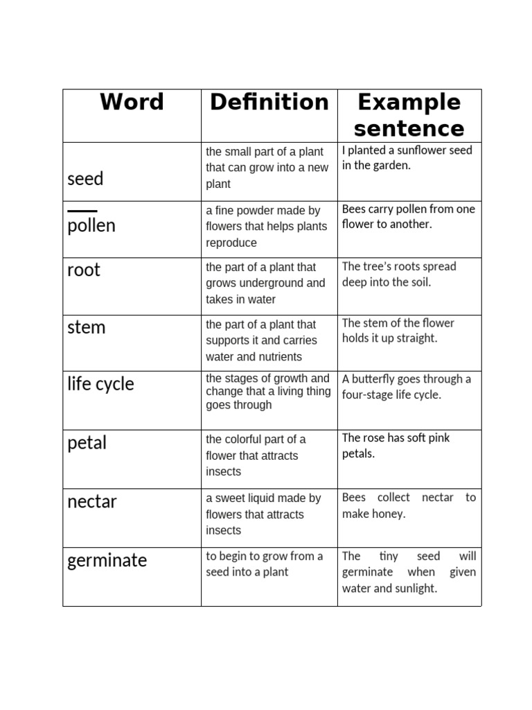 Spelling Words Ancient Civilization | PDF