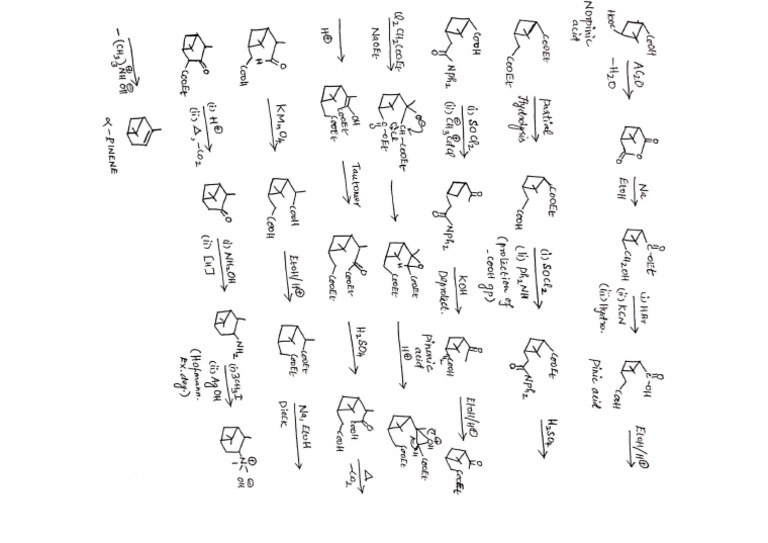 4.1 Alpha Pienene Syntesis TKS | PDF
