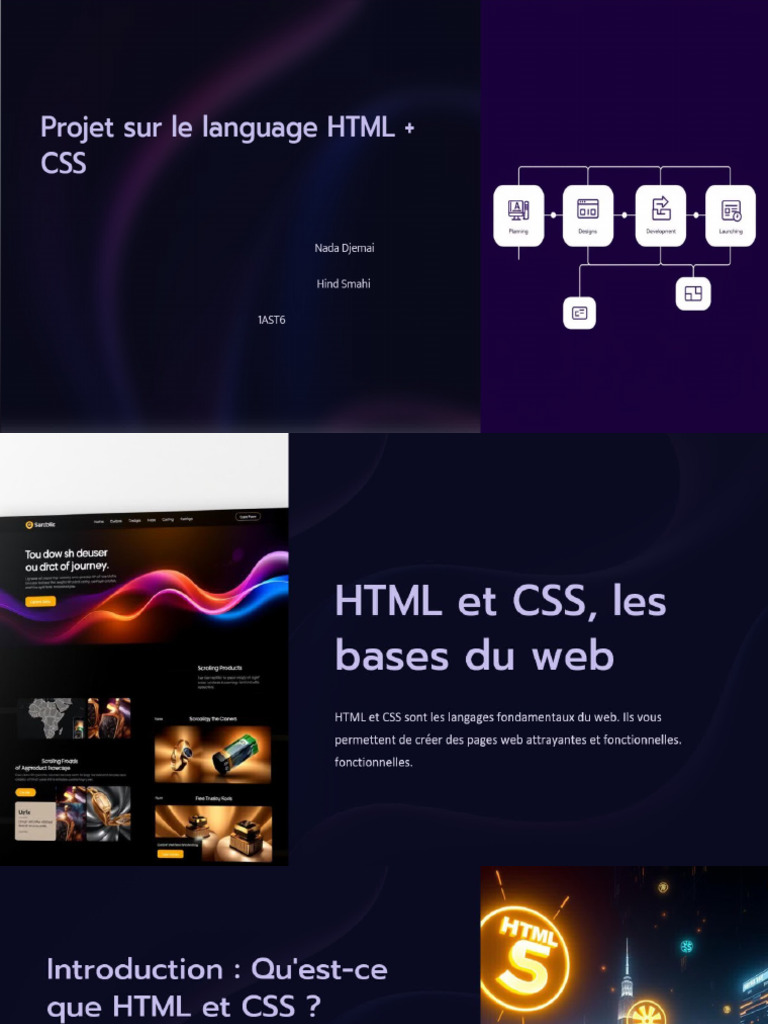 Projet Sur Le Language HTML ^M CSS 1ast6 | PDF