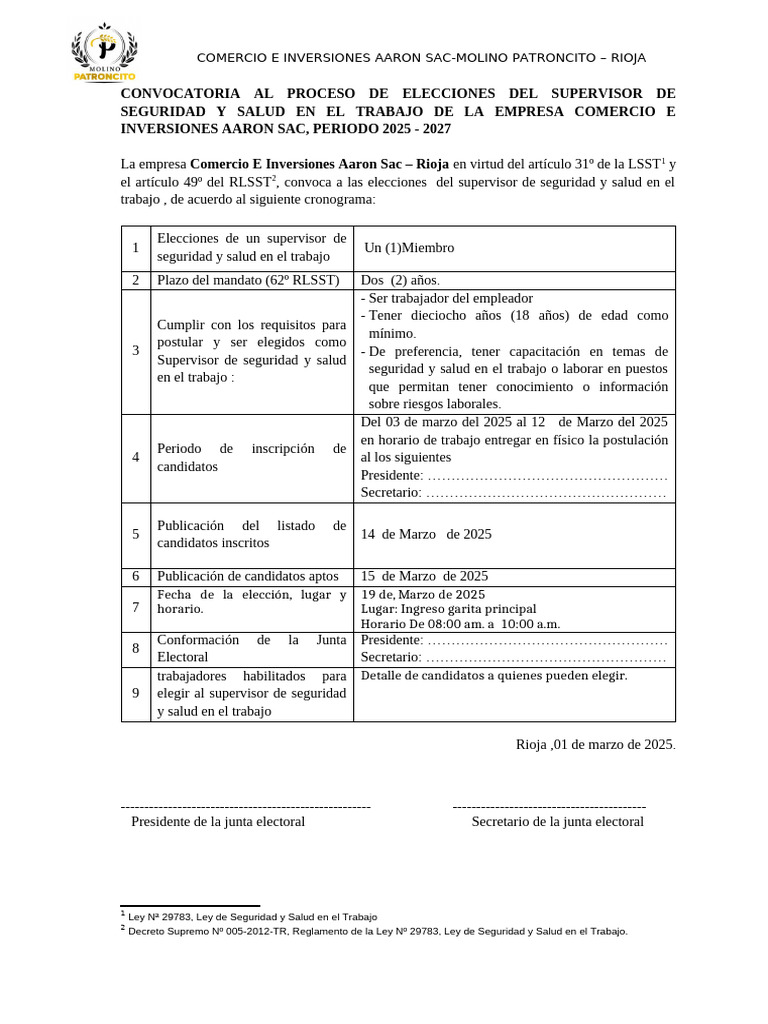 2 Convocatoria A Elecciones CSST | PDF | Gobierno | Elecciones