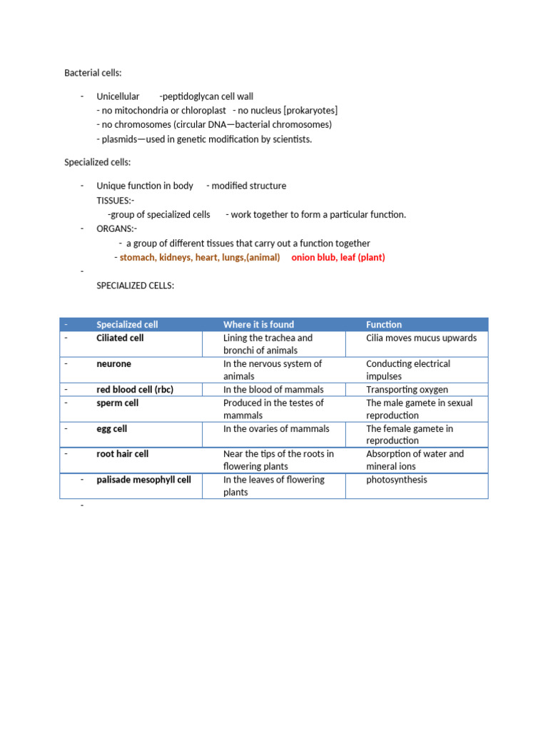 Notes (Becterial Cells, Specialized Cells) | PDF