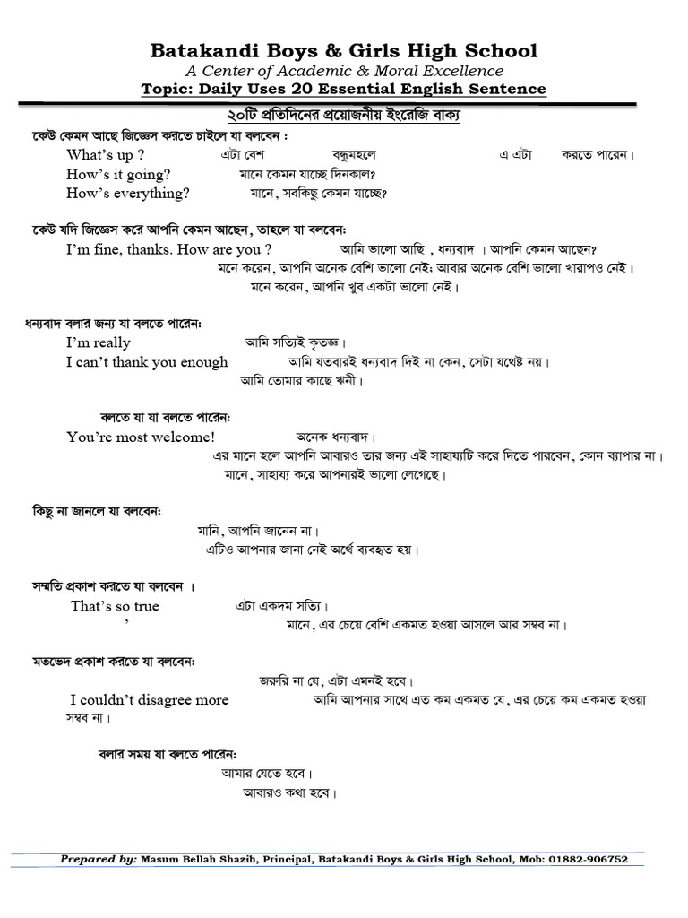 Daily Uses 20 Essential Sentence in English | PDF