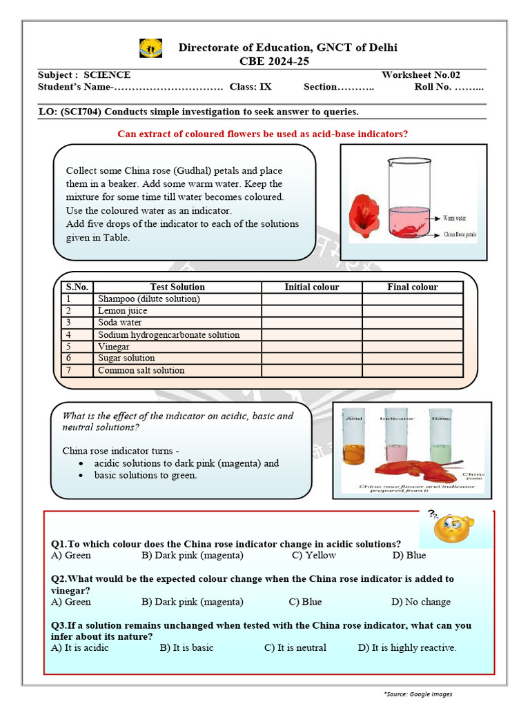 CBE_Class9_Week2-1 | PDF