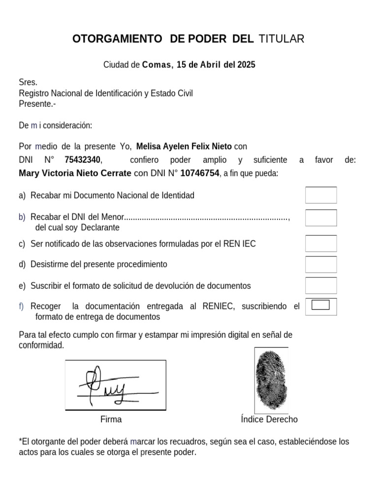 Otorgamiento Poder | PDF