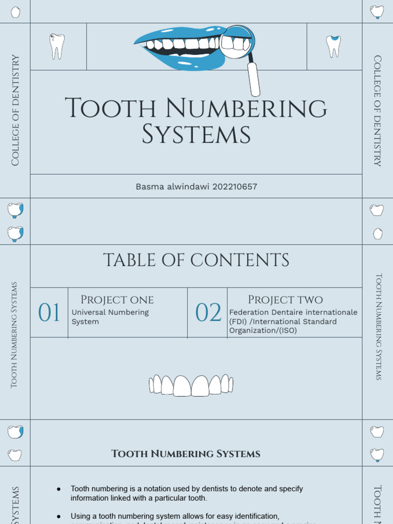 Tooth Numbering Systems (1) | PDF | Human Tooth | Tooth