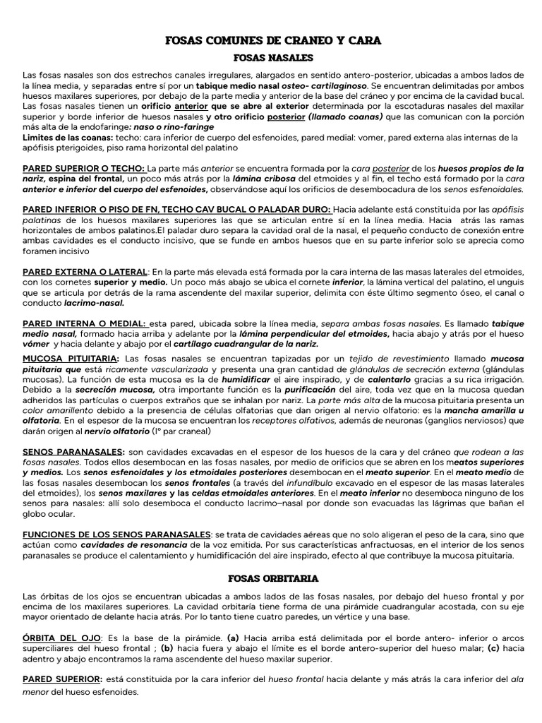 4 Unidad Fosas Comunes | PDF | Nariz humana | Sistema esquelético