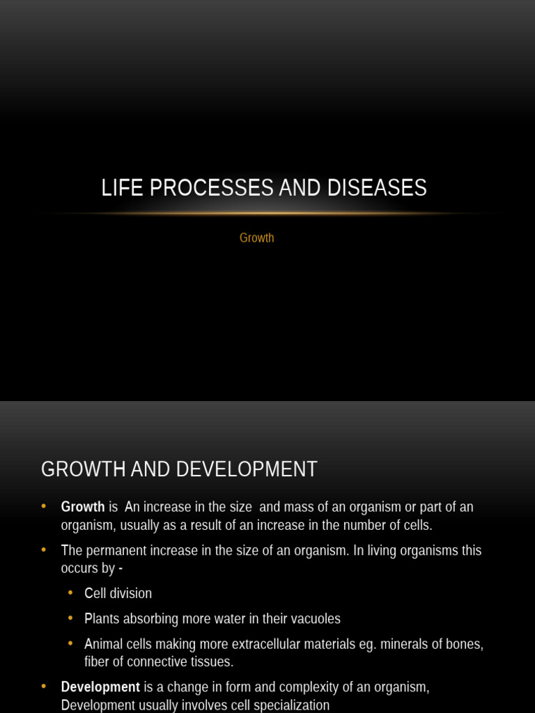 Growth and Development in Organisms | PDF | Mitosis | Seed
