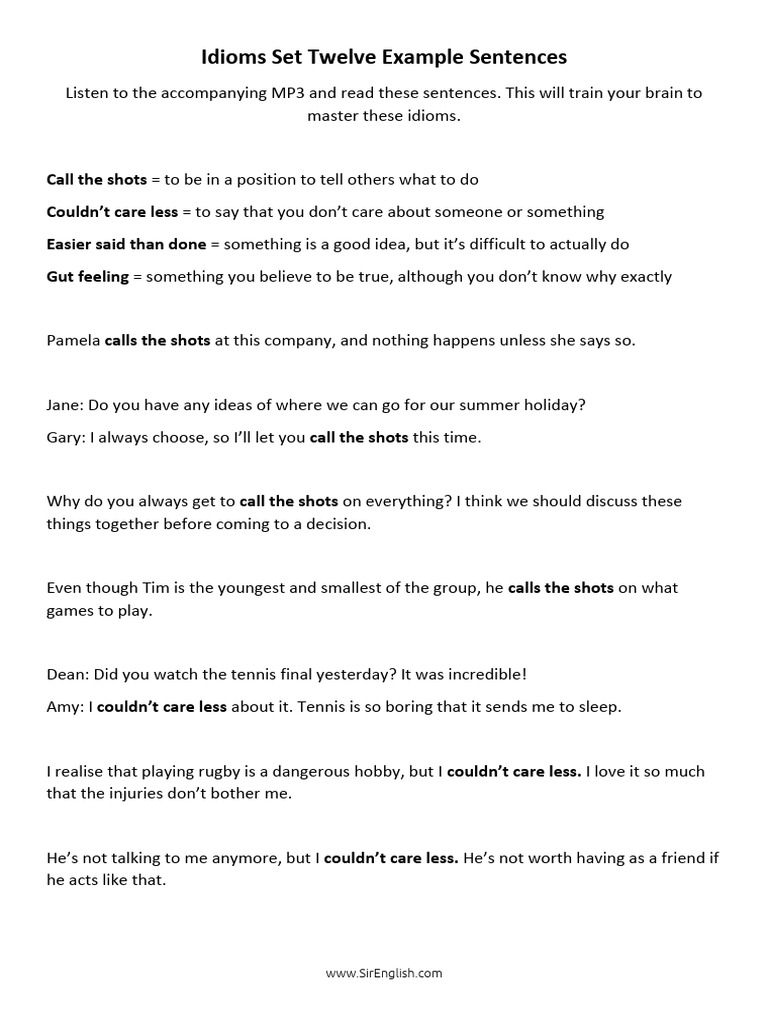 Idioms Set 12 Example Sentences | PDF