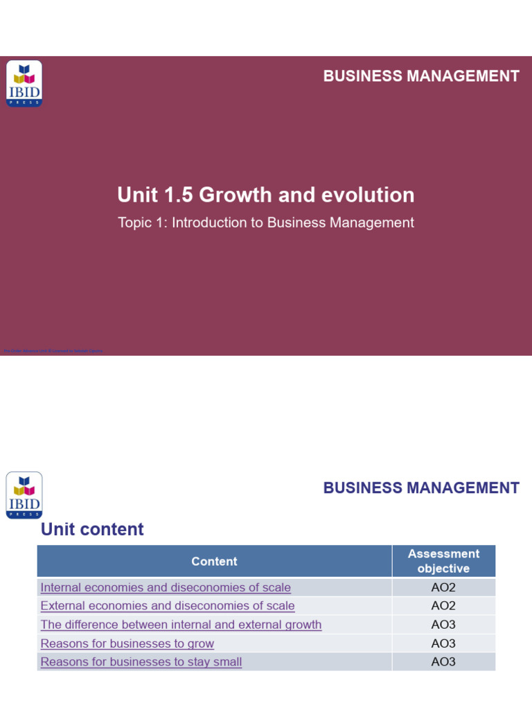 Business Growth and Scale Concepts | PDF | Franchising | Economies Of Scale