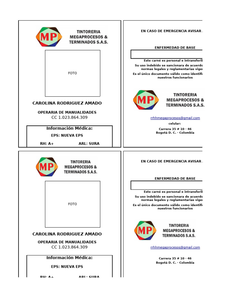 Formato de Carnet de Personal | PDF