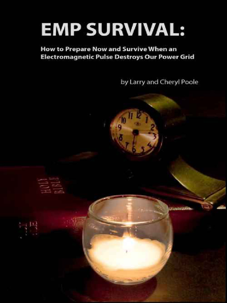 Emp Survival_ How to Prepare Now and Survive, When an Electr | PDF