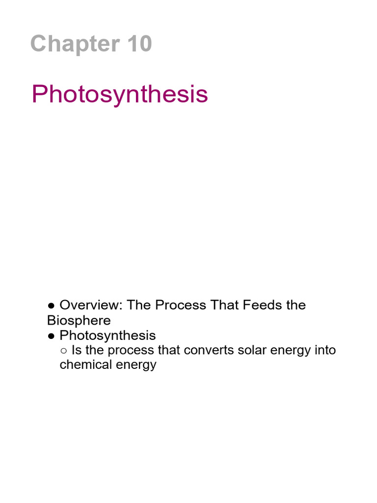 Chapter 10 Photosynthesis ppt - Google Slides | PDF | Photosynthesis ...