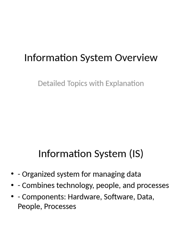 Information System Notes | PDF