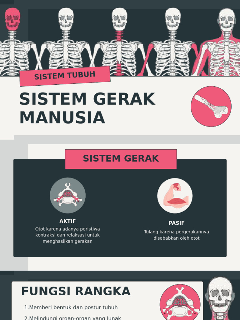 The Human Skeletal System Science Educational Presentation in Dark Gray ...