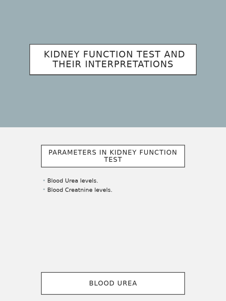 Kidney Function Test | PDF | Creatinine | Kidney