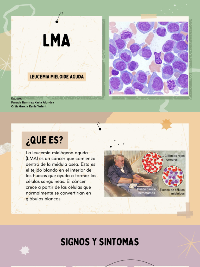 Lma PDF | PDF | Leucemia | Trasplante de células madre hematopoyéticas