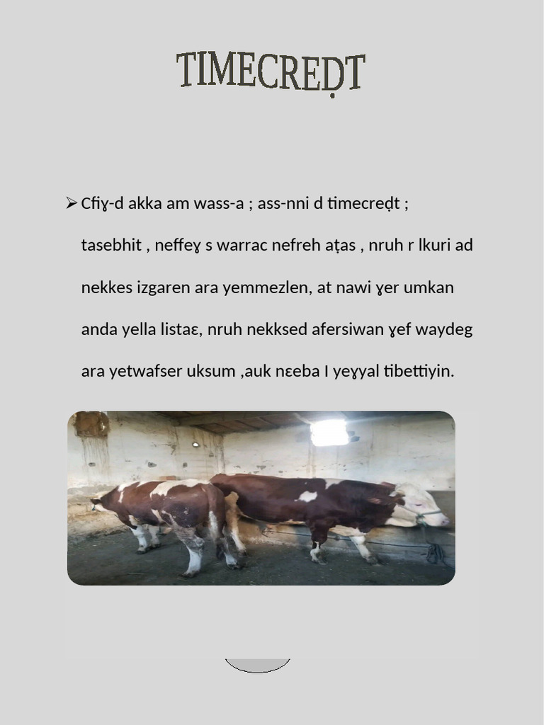 Tamazight 1 | PDF