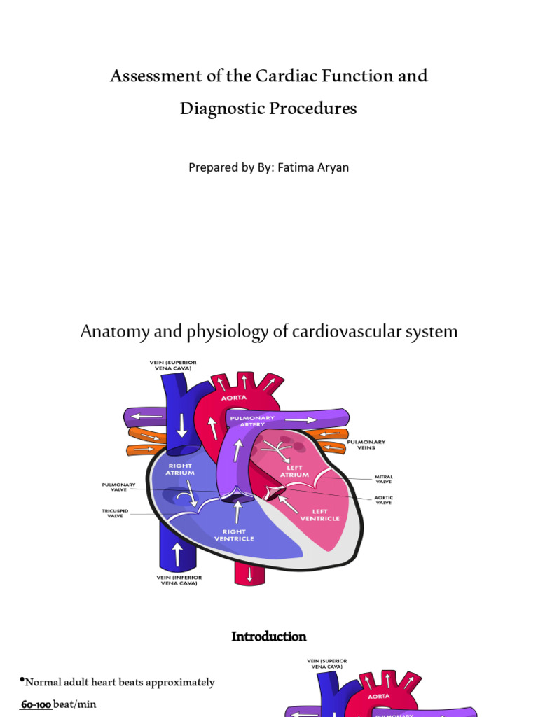 cardiovascular assessment unit 2 | PDF | Electrocardiography | Heart