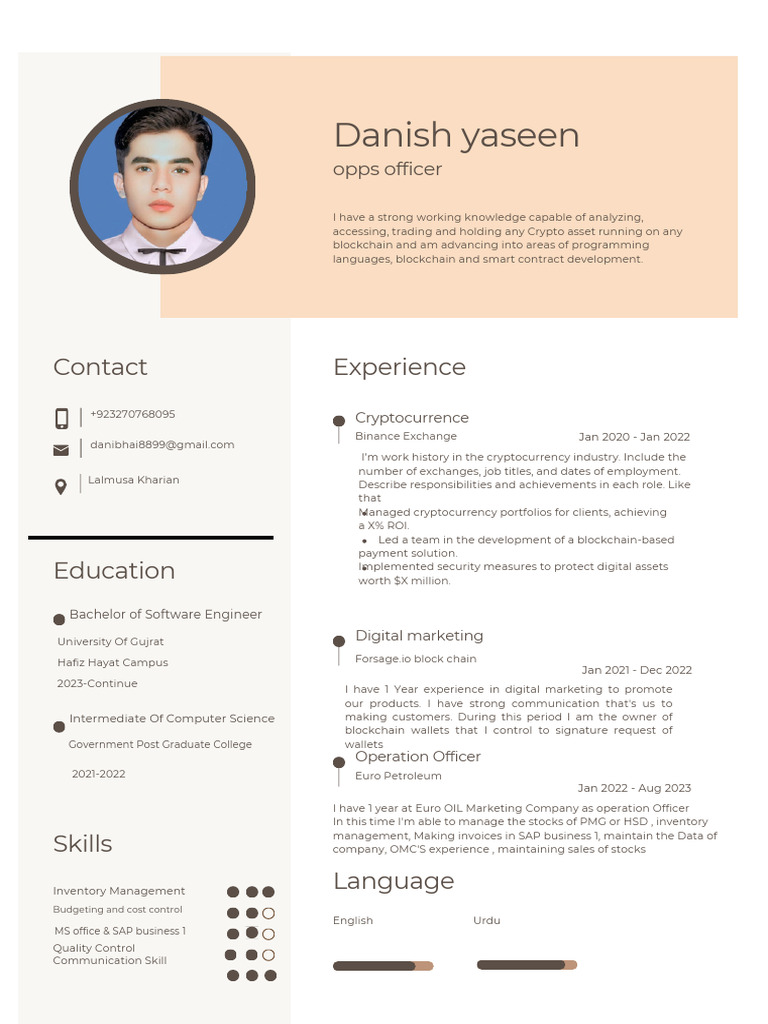 Digital Marketing & Crypto Experience | PDF | Cryptocurrency | Economies