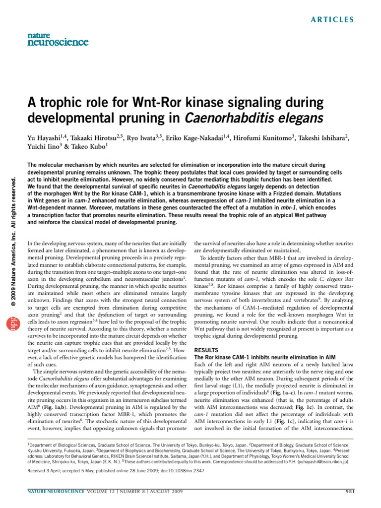 NN 2347 | PDF | Nervous System | Axon