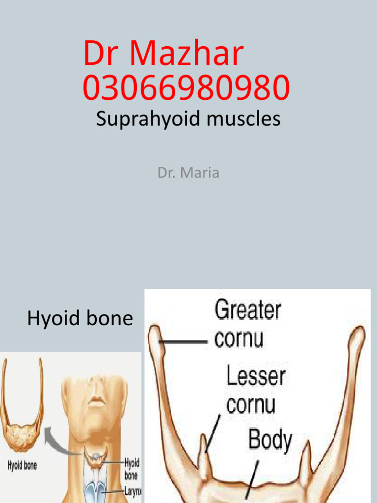 Supra Hyoid Muscles..... DR Mazhar 03066980980 | PDF