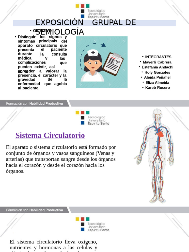 Problemas del Sistema Circulatorio y Respiratorio | PDF | Sistema ...