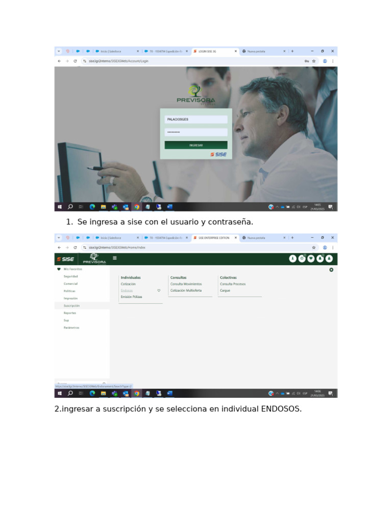 Se Ingresa A Sise Con El Usuario y Contraseña | PDF