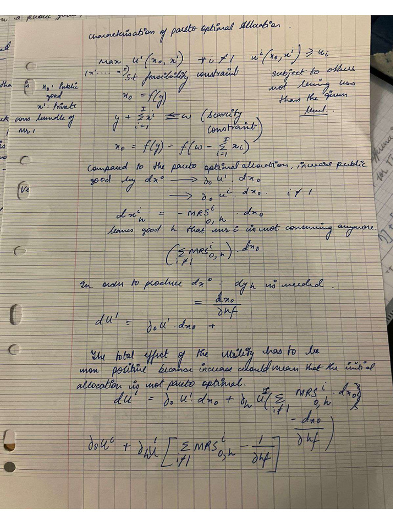 Public Goods Notes | PDF