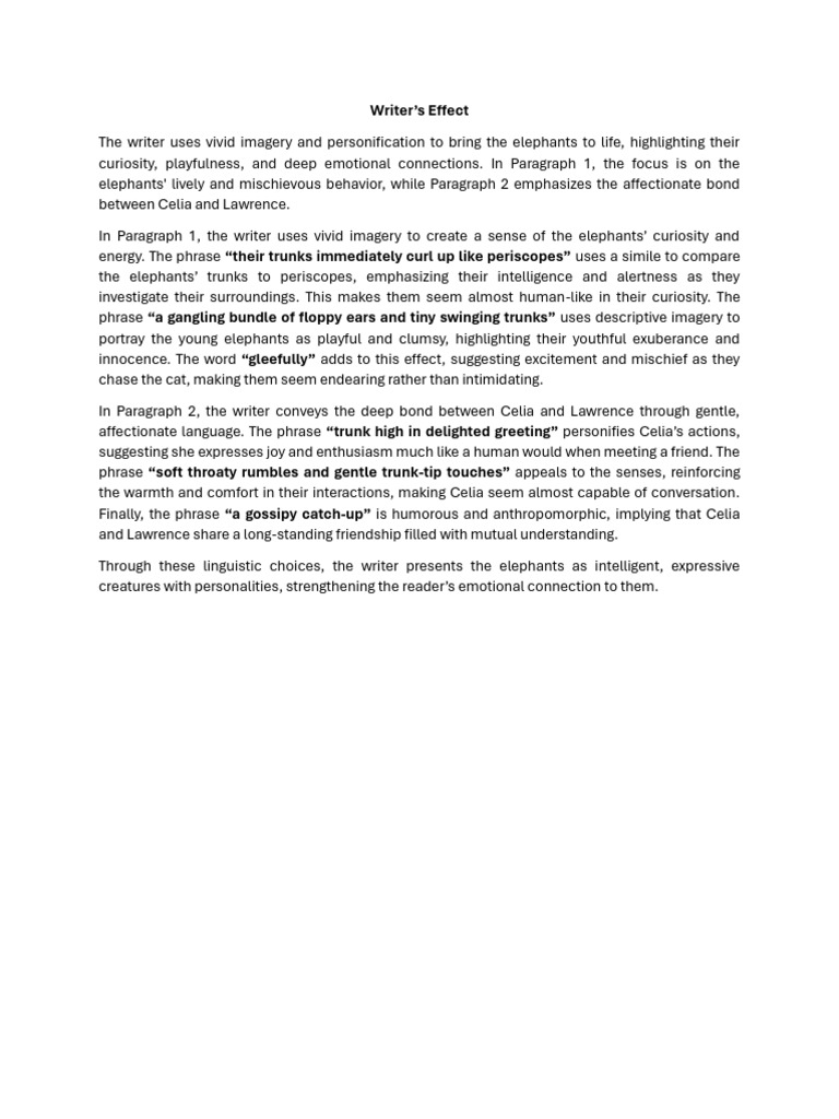 Writers Effect and Interview Samples | PDF | Elephant