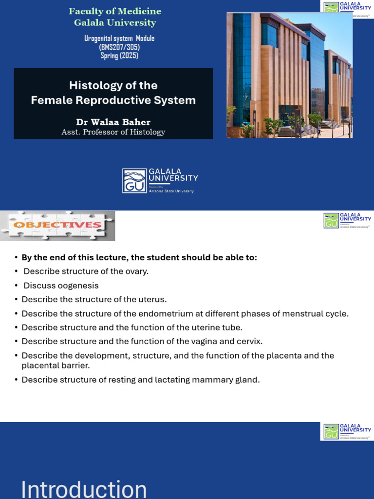 Histology of Female Reproductive System | PDF | Ovary | Uterus