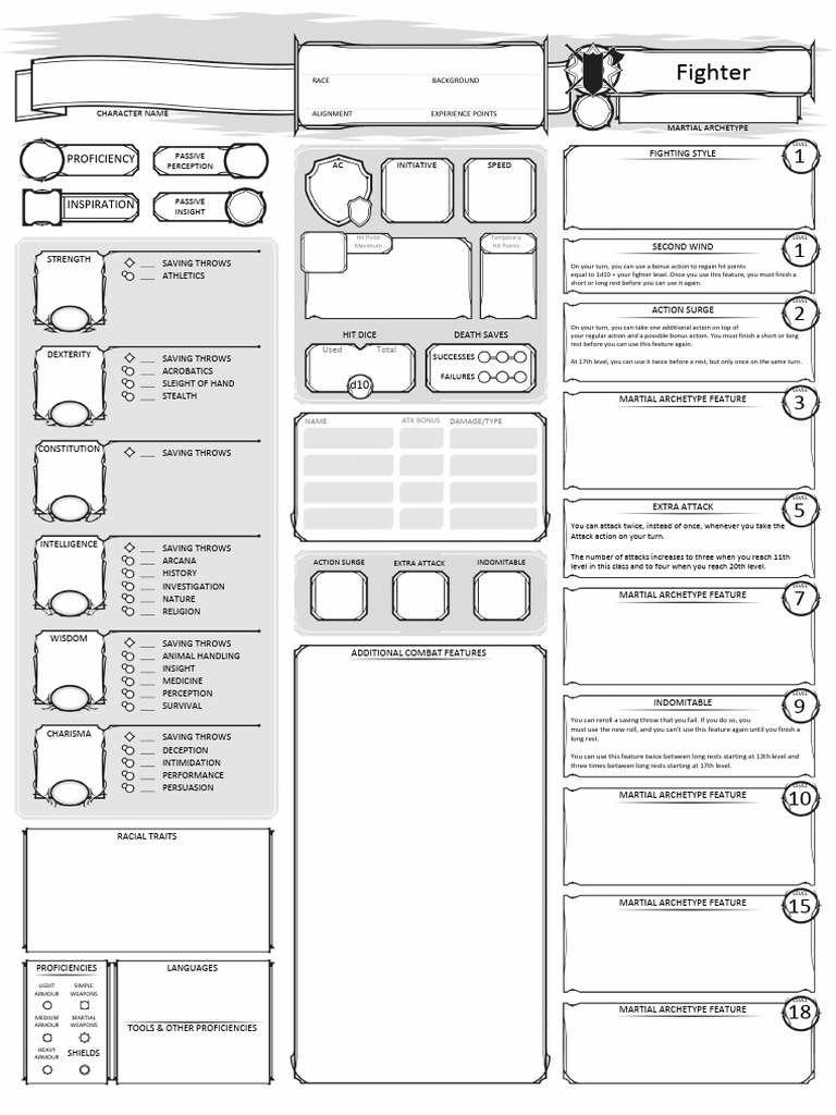 Fighter Character Sheet Overview | PDF | Dice | Armour