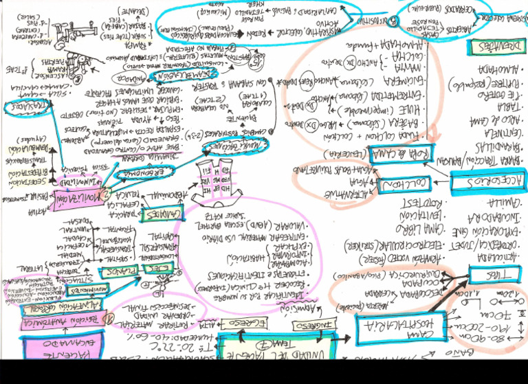 TEMA 7 ESQUEMA OPE TCAE | PDF