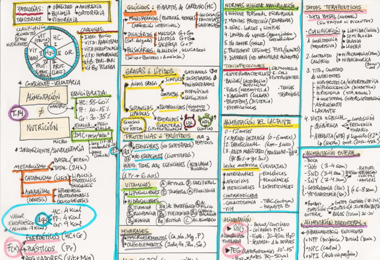 Tema 14 Esquema Ope Tcae | PDF
