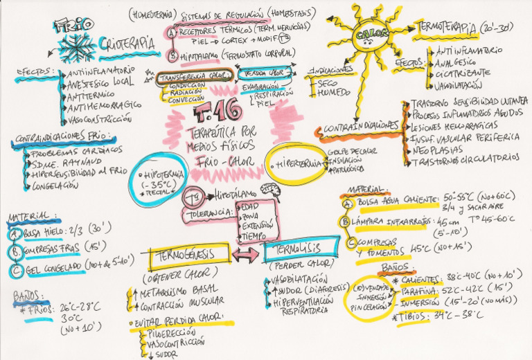 Tema 16 Esquema Ope Tcae | PDF