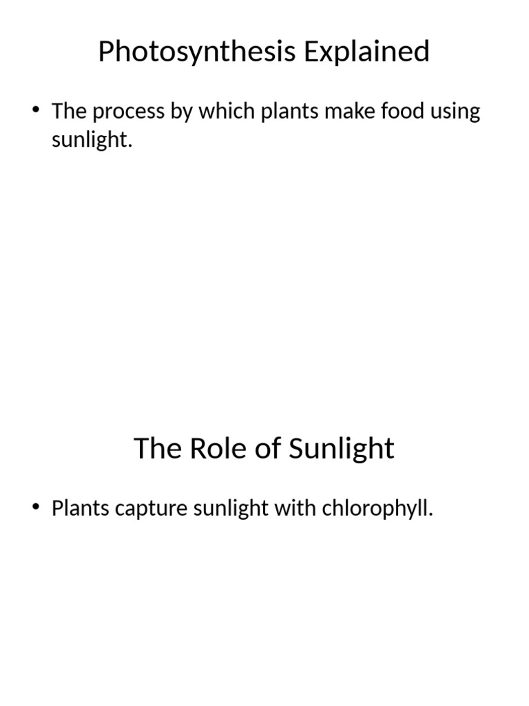 Photosynthesis Explained | PDF