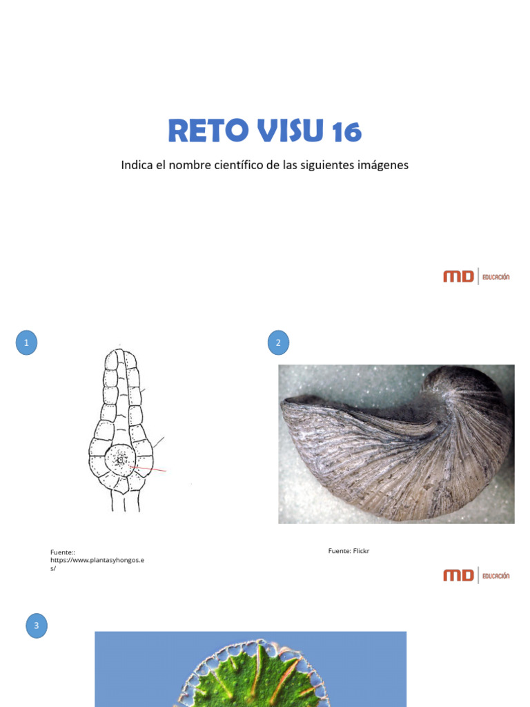 Reto Visu 16 | PDF