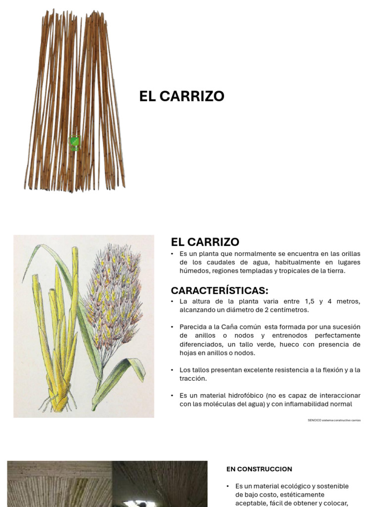 Usos del Carrizo en Construcción | PDF