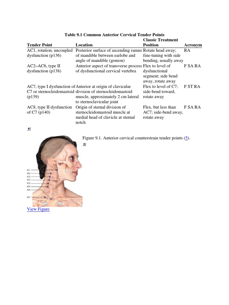 Tender Point Reference Sheet | PDF | Anatomical Terms Of Motion | Foot