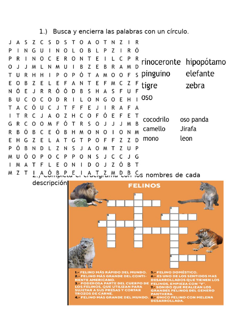 4° Básico Lenguaje Animales Del Zoológico | PDF