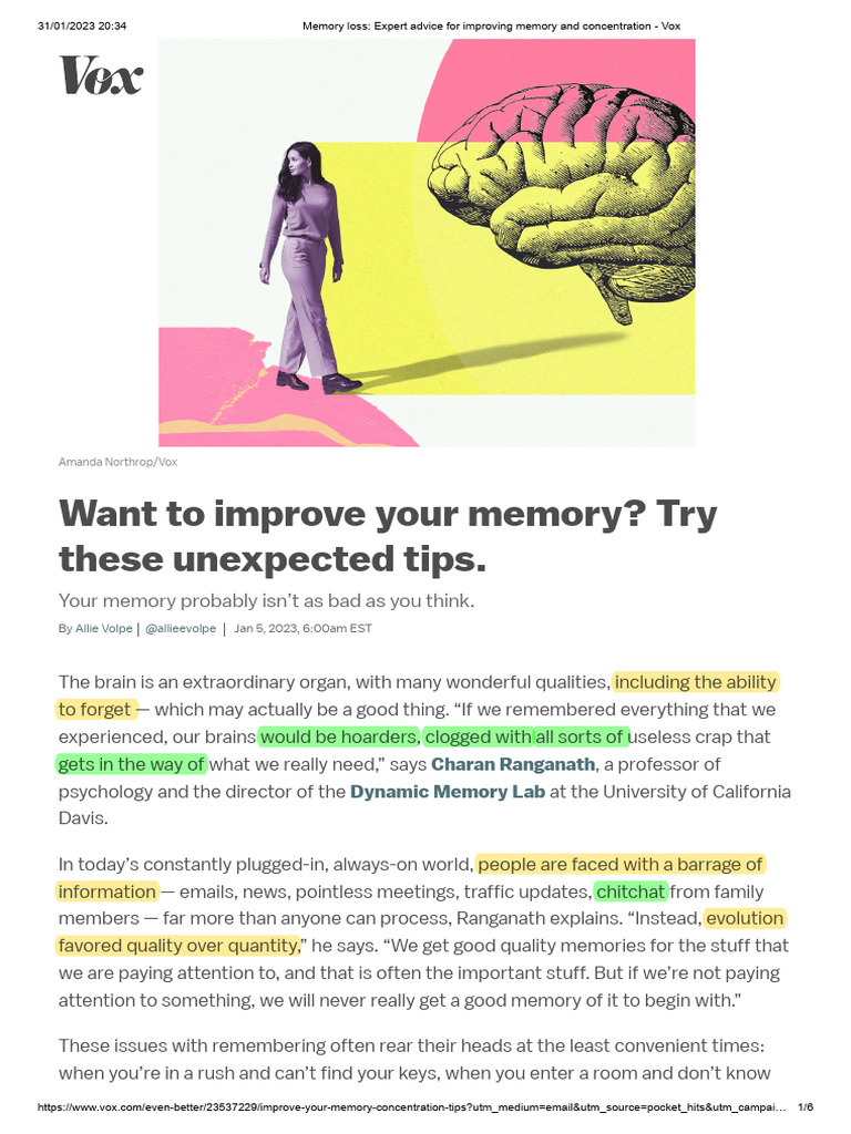Memory Loss - Expert Advice For Improving Memory and Concentration - Vox | PDF | Memory | Attention