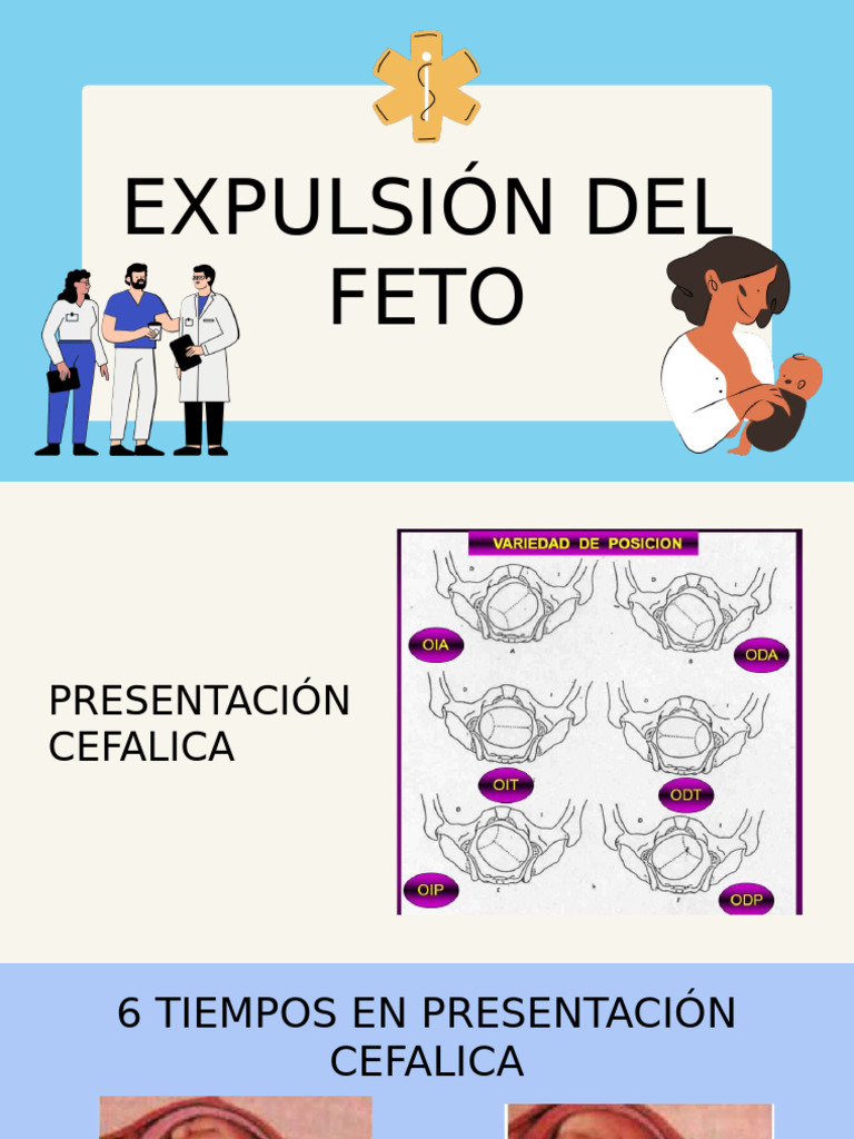 Expulsión Del Feto | PDF | Parto | Especialidades Medicas