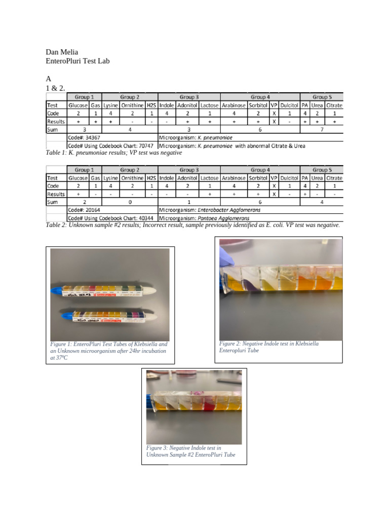 EnteroPluri Lab Report | PDF