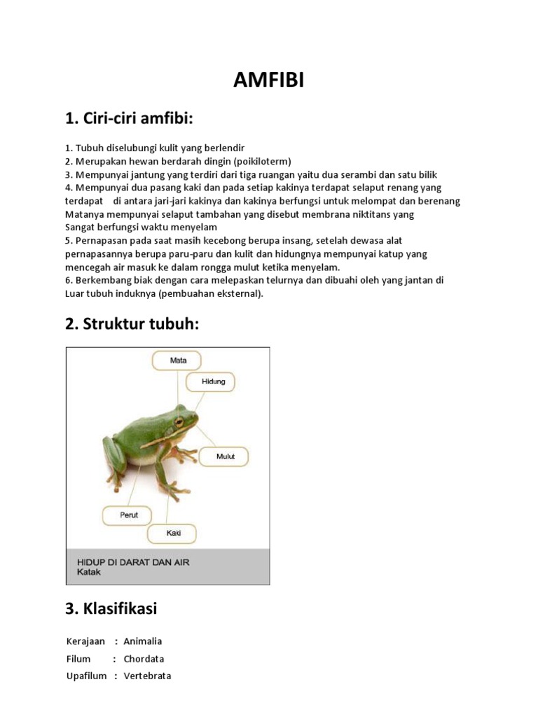 Ciri dan Klasifikasi Amfibi | PDF